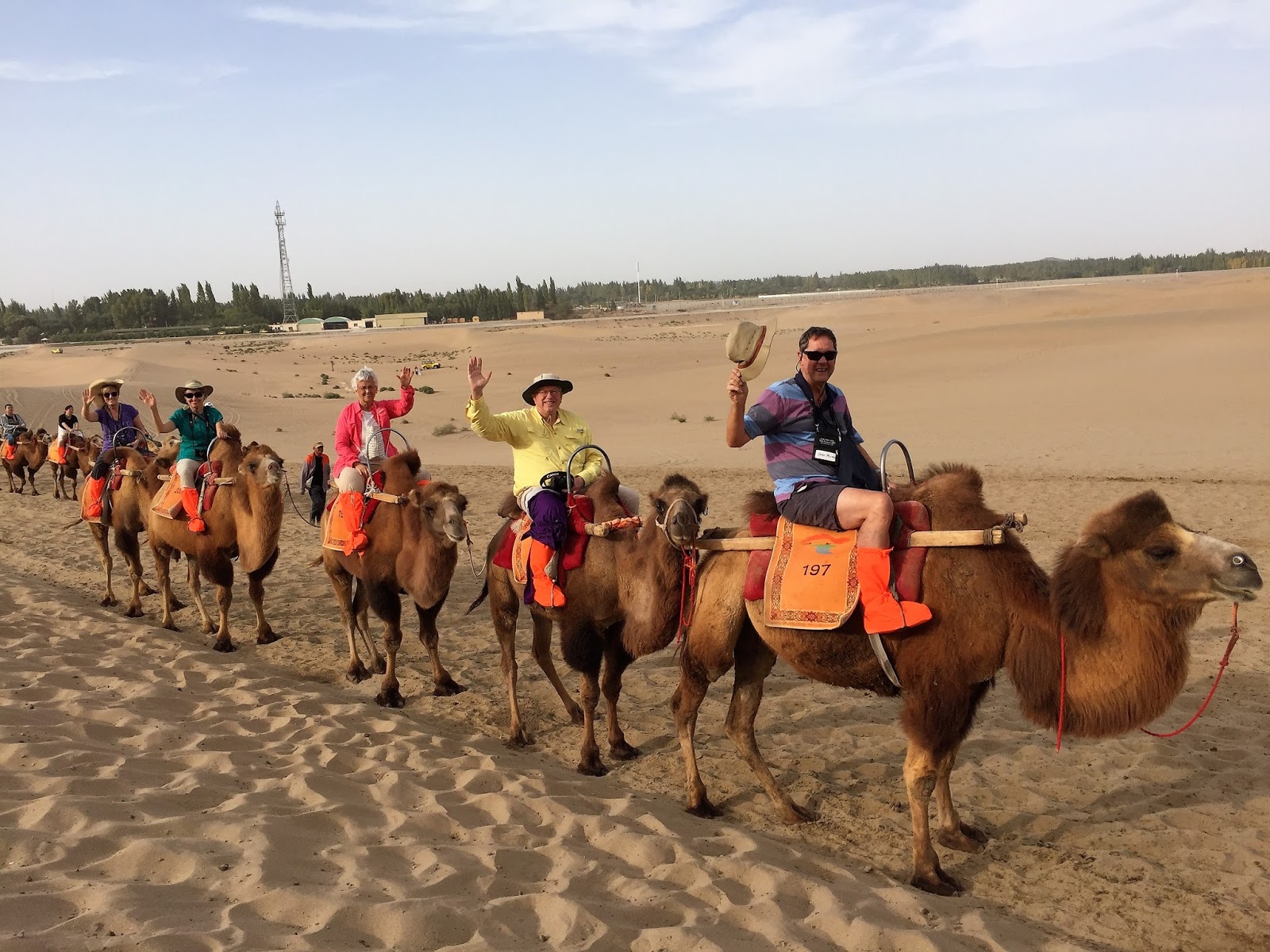 Souvenir Chronicles: DUNHUANG, CHINA: RIDING CAMELS IN THE GOBI DESERT