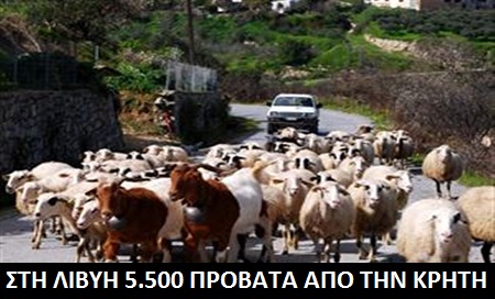 H.M.V: ΣΤΗ ΛΙΒΥΗ 5.500 ΠΡΟΒΑΤΑ ΑΠΟ ΤΗΝ ΚΡΗΤΗ