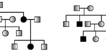 Welcome to the Living World: Principles of Inheritance and Variation ...
