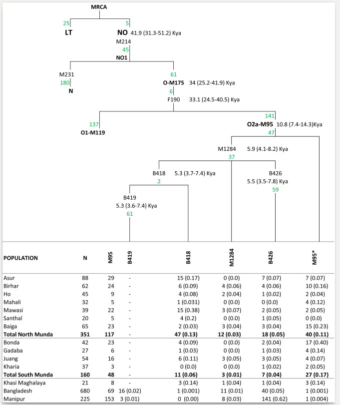 Dispatches From Turtle Island: 2019