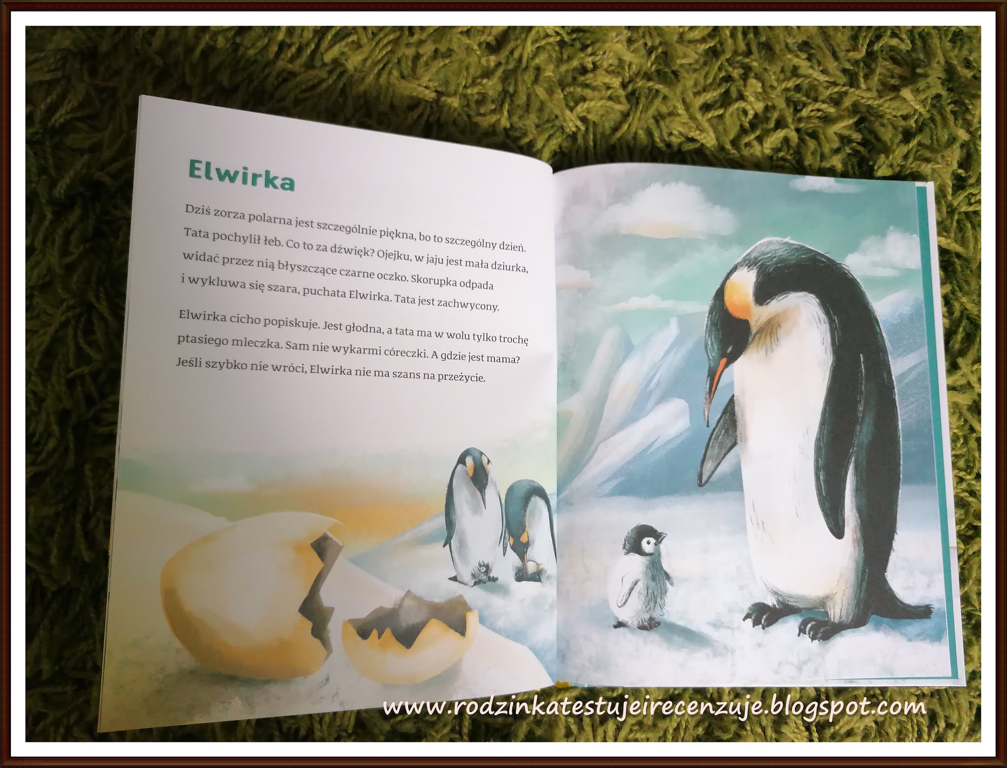 Rodzinka testuje i recenzuje: Elwirka na śnieżnej pustyni. Świetna ...