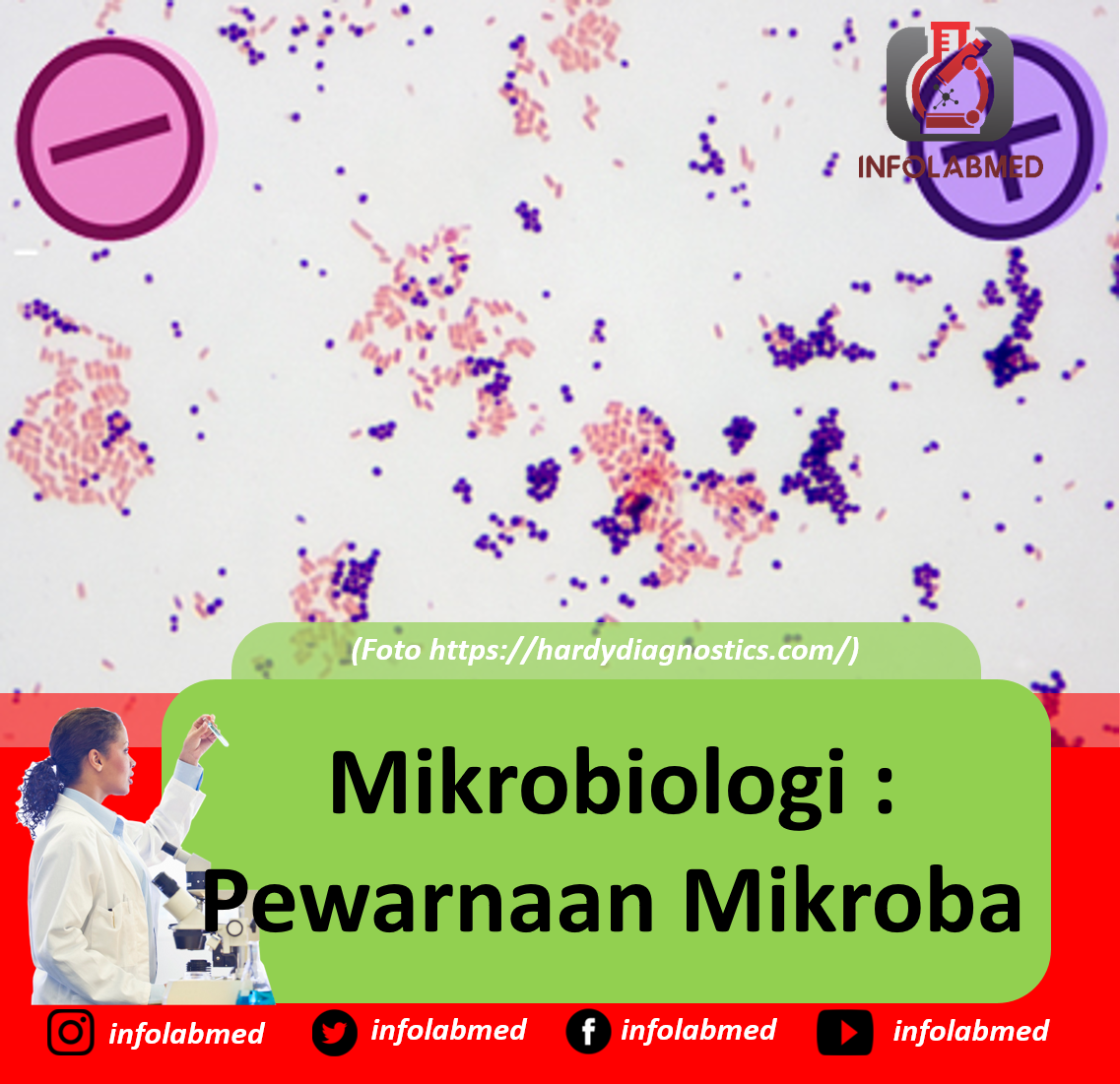 Mikrobiologi : Pewarnaan Mikroba