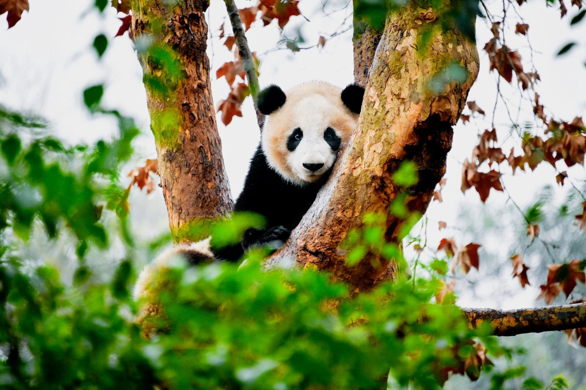 Biodiversidad de México : marzo 2021