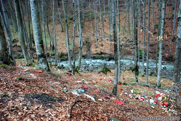 CLASA a-X-a A: Poluarea Solului