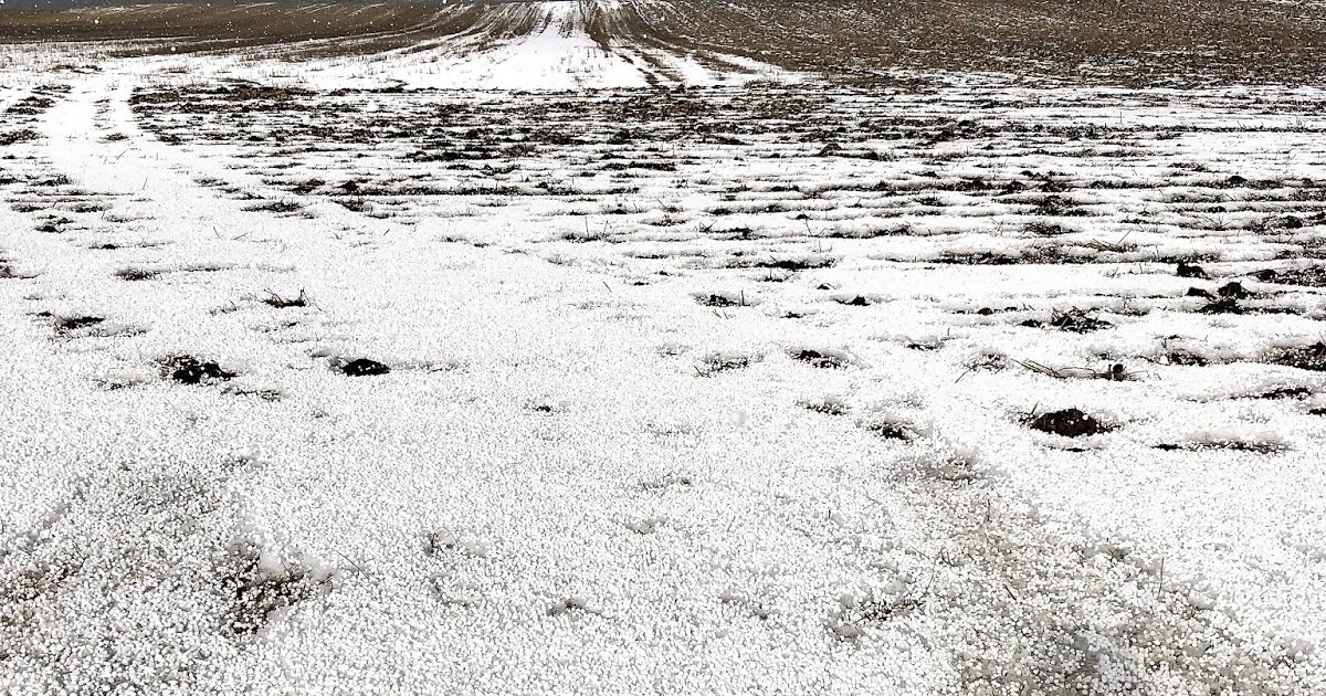 From Marin to the Mountains: Winter, Snow and what the heck are Ice ...