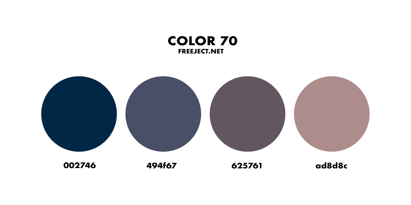 Color Palette PNG - 4 Color Combinations