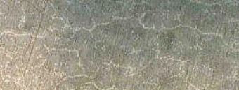 What is Crazing on Concrete Surface? Causes and Repair