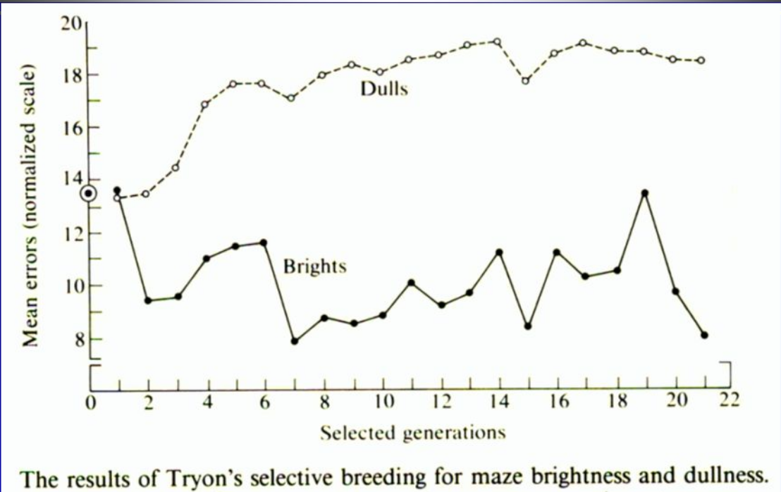 Genetics, IQ, and ‘race’ – are genetic differences in intelligence ...
