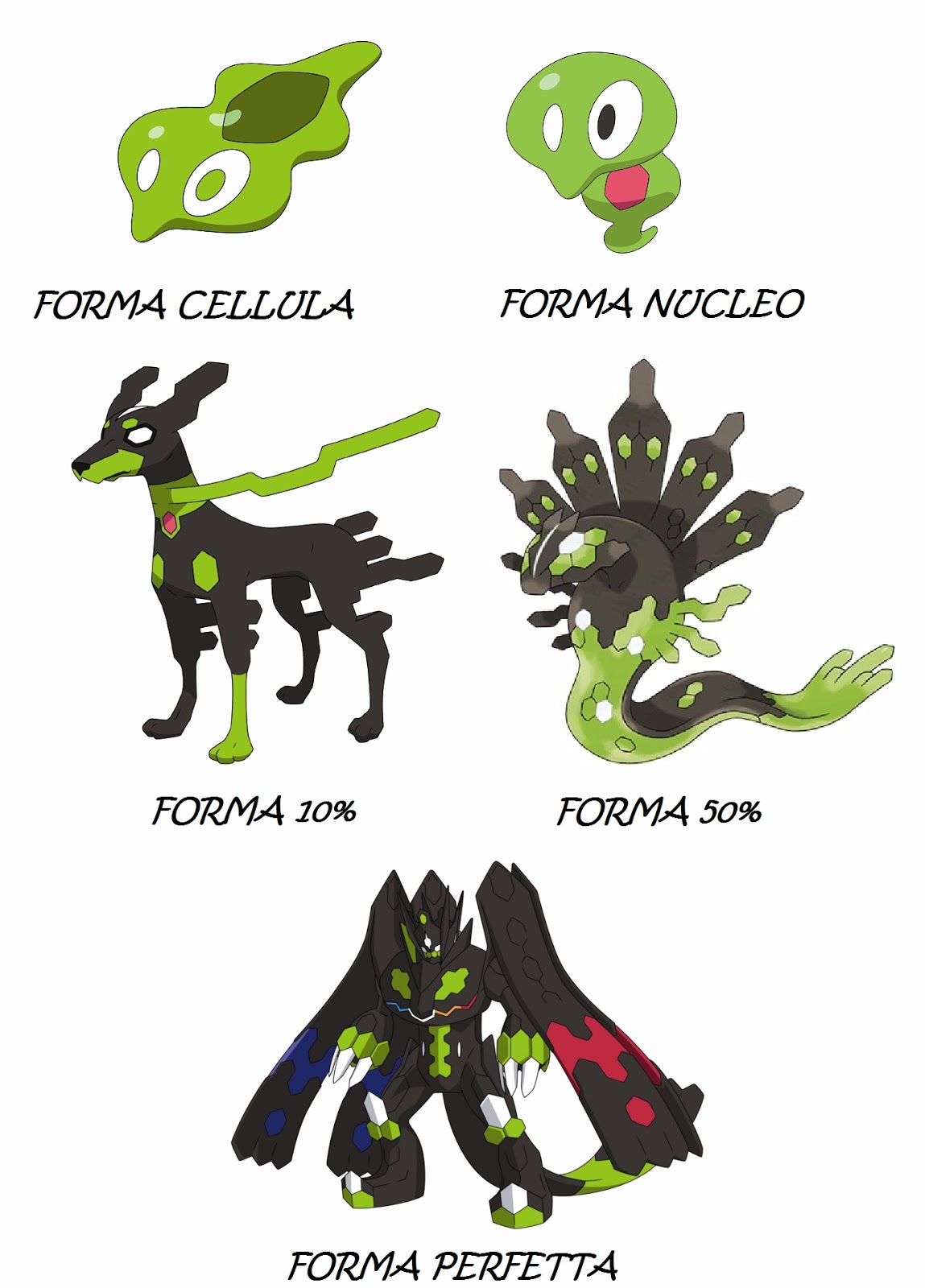 Pokemons: Todas las Etapas se Zygarde
