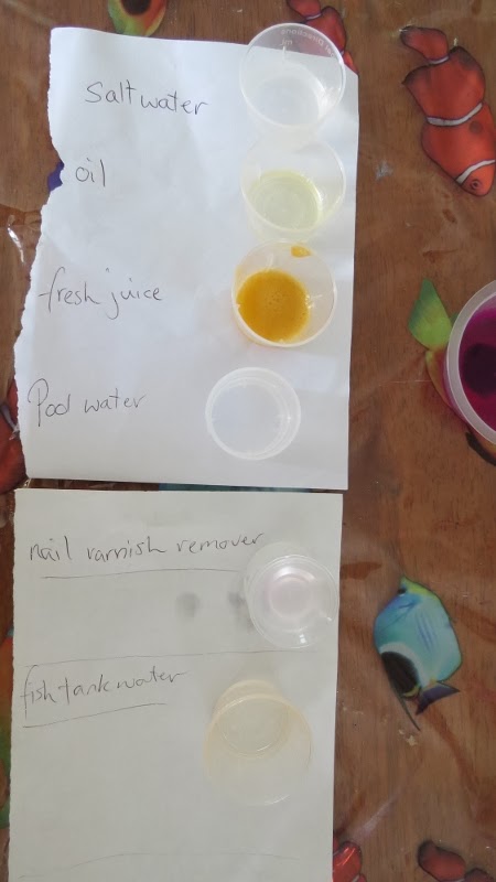 Be Our Best: Purple Cabbage pH Science Experiment