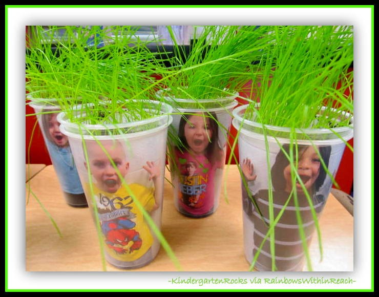 Grass Heads Using Plastic Cups