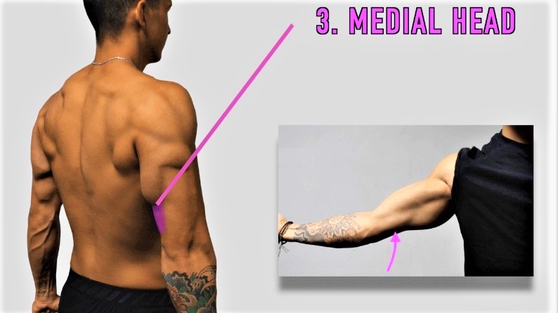 Barz Club Street Workout: Os Melhores Exercícios para Tríceps