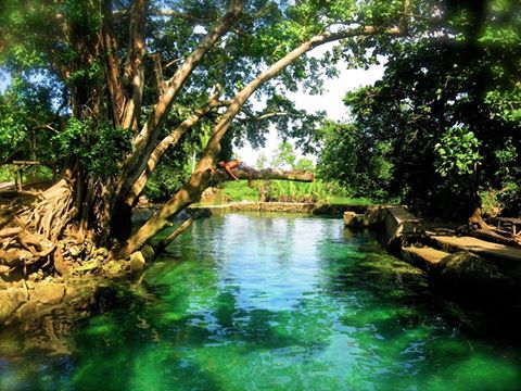 Guiwanon Cold Spring | amnla