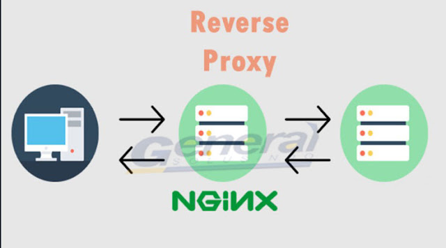 How to Configure Nginx Reverse Proxy - Popular News