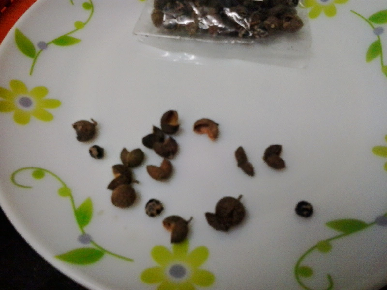 Tirphal | Teppal or sichuan pepper | Annapurna