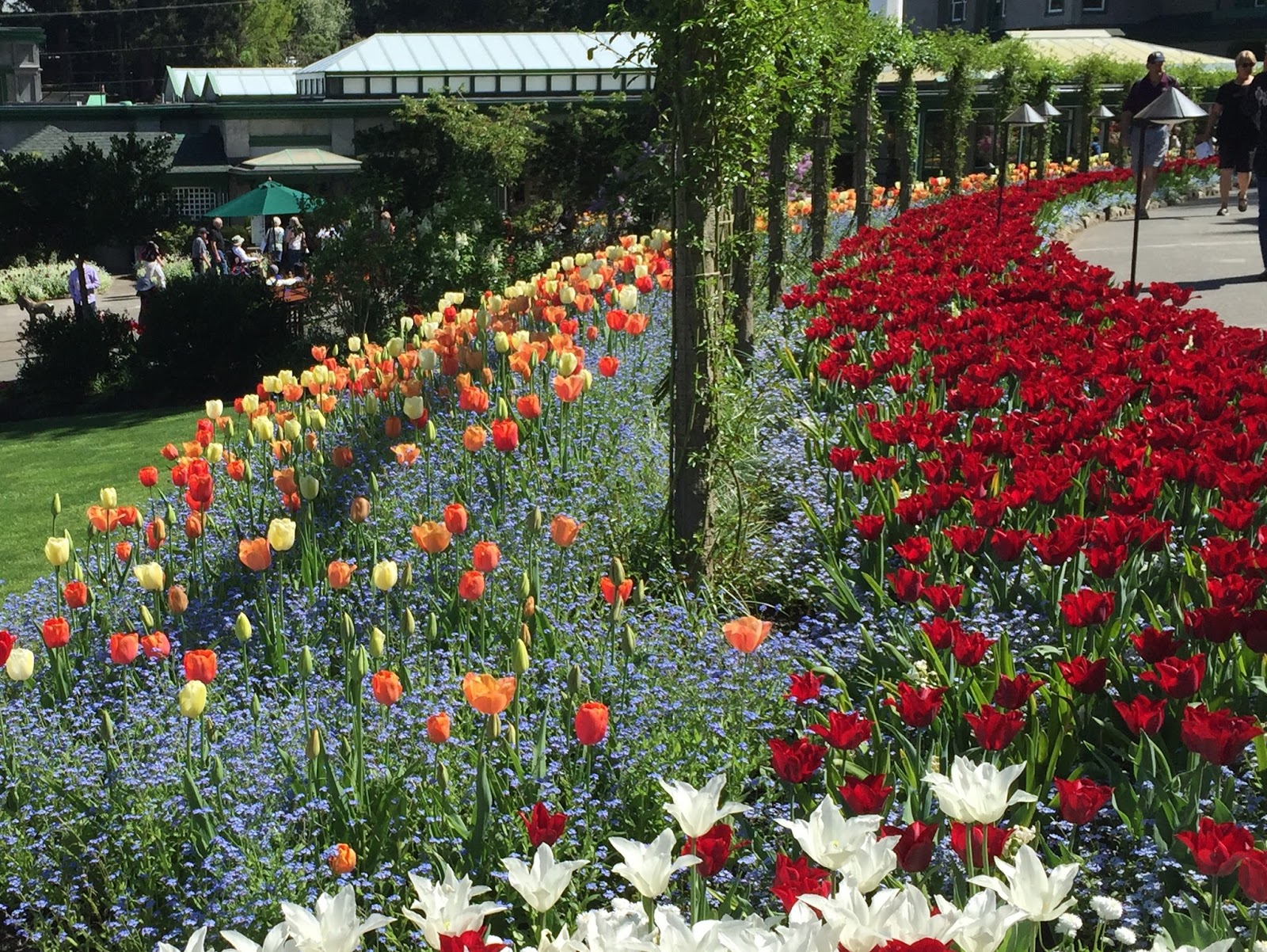 My Front Porch: The Butchart Gardens in spring...