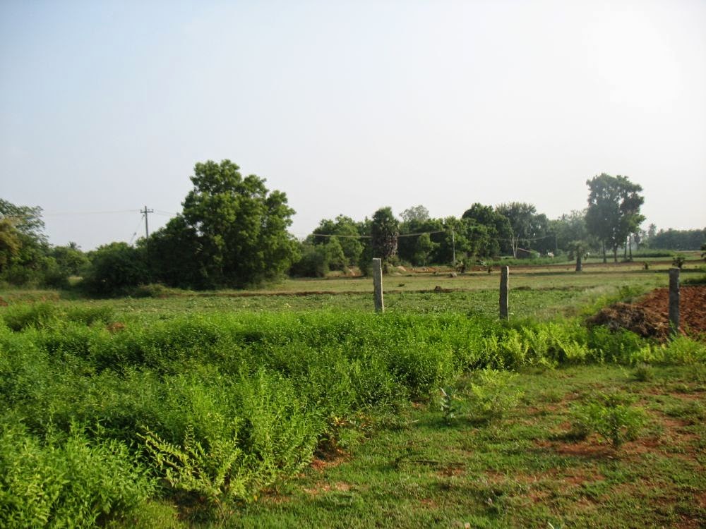57 Cent Parcel near Vediappanur road - ARUNACHALA LAND