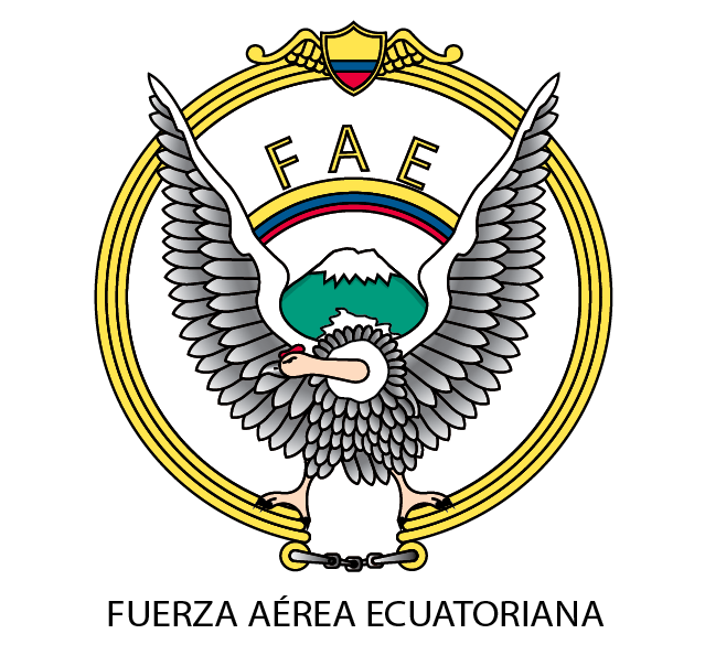 Festival Aéreo : HISTORIA