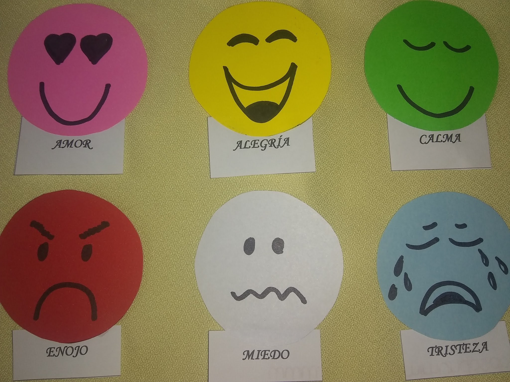 ESCUELA 79 LONGCHAMPS: SEÑO LAURA