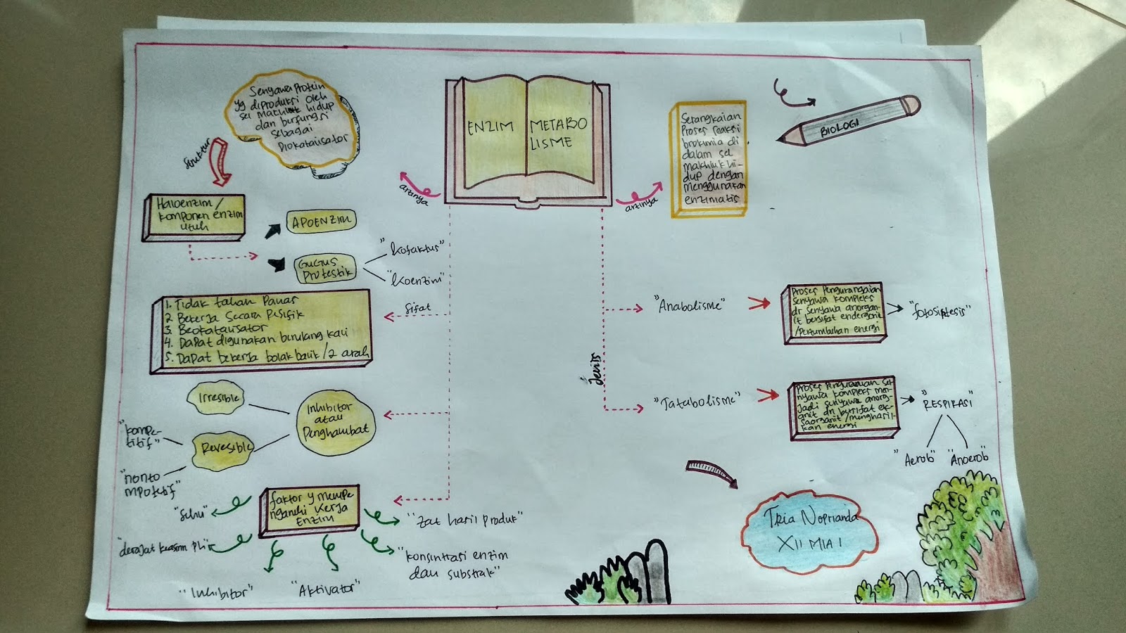 Tugas Mind Mapping Materi Enzim dan Metabolime Kelas XII MIA 1 - Kelas ...