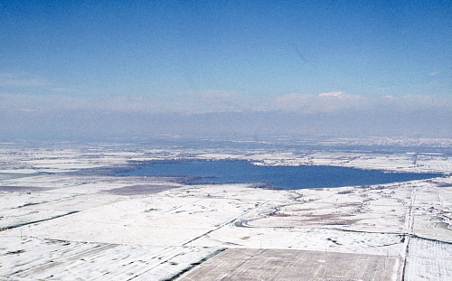 Birding Trips: Colorado, USA April 2001.