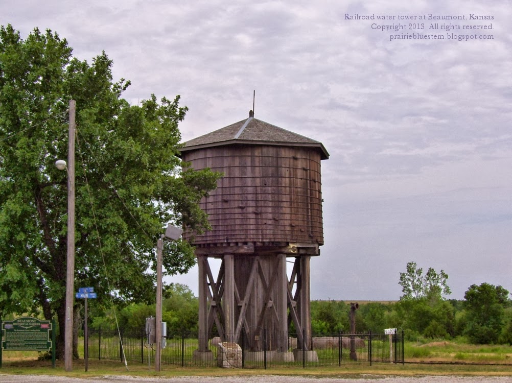 Prairie Bluestem: Beaumont, Kansas: Railroad Town