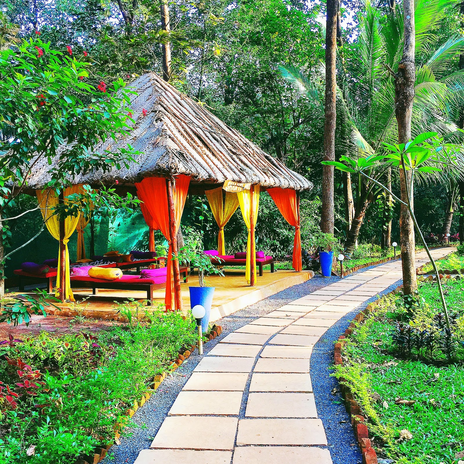 PEACE LOVE YOGA: Purple Valley Highlights - Goa, India