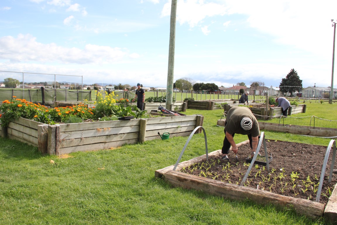 Maxine Boag - Napier City Councillor: The garden at Pukemokimoki marae