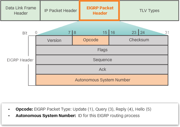 Ccna Complete Course Eigrp Packet Types And Eigrp Message Header Format