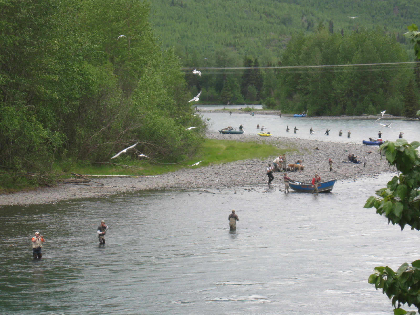 The Jay and Amanda Chronicles: Vermont to Alaska: Funny River. No ...