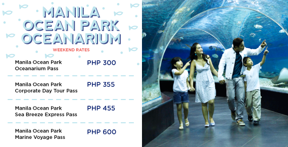 Travelbook.ph Offers Up To 50%Off on Popular Tour Activities ~ Wazzup ...
