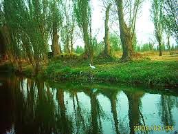 UVL SANDRA C: ESPECIES ENDÉMICAS EN XOCHIMILCO.