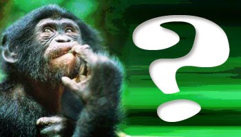 Mestre dos Centavo$: Morar com os pais, os dois lados da moeda