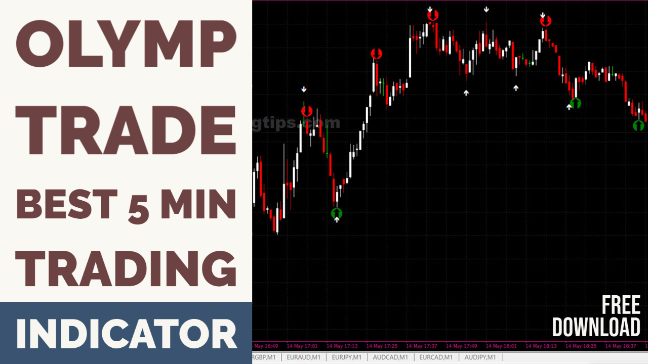 Best 5 Min Trading Indicator ~ AM Trading Tips