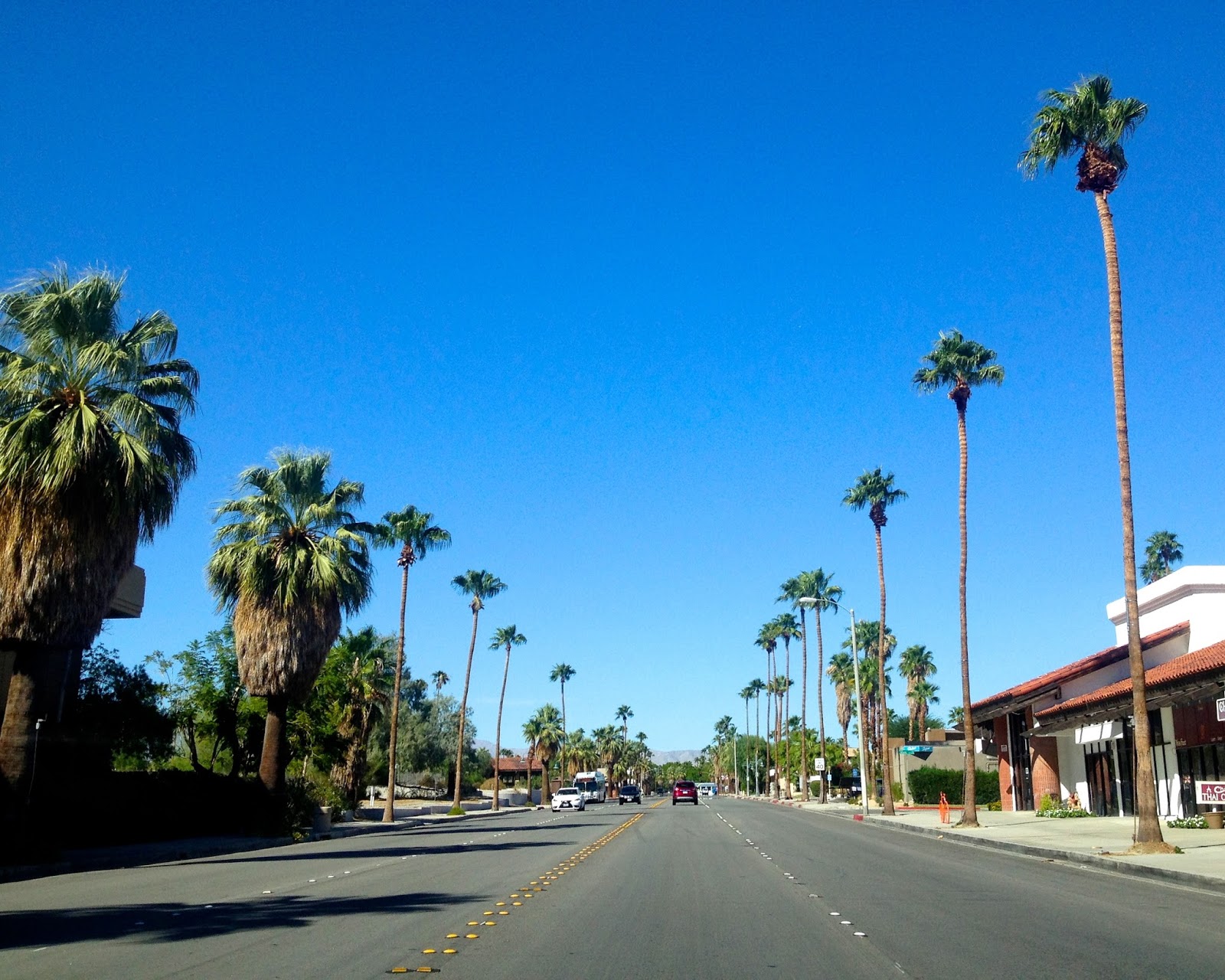 Cobalt Violet: Making Memories ~ Palm Springs and Seal Beach