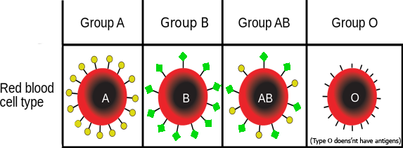 Health Education : Blood Transfusion