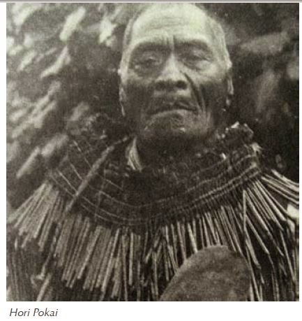 Thames NZ: Genealogy & History Resources: Thames (NZ): Goldie painting ...