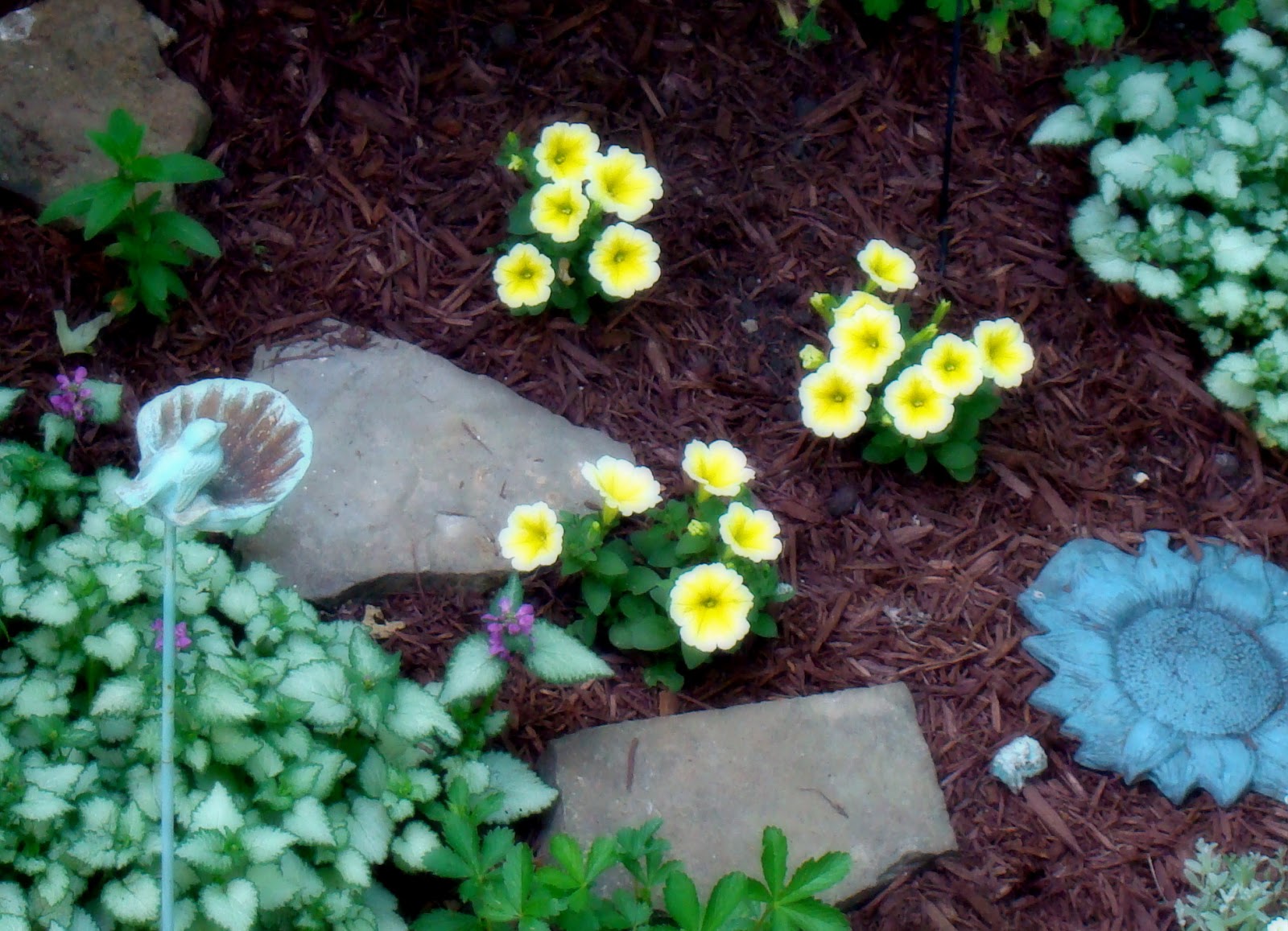 JUST SIMPLE SOMETHINGS: Irish Spring Deer Repellent