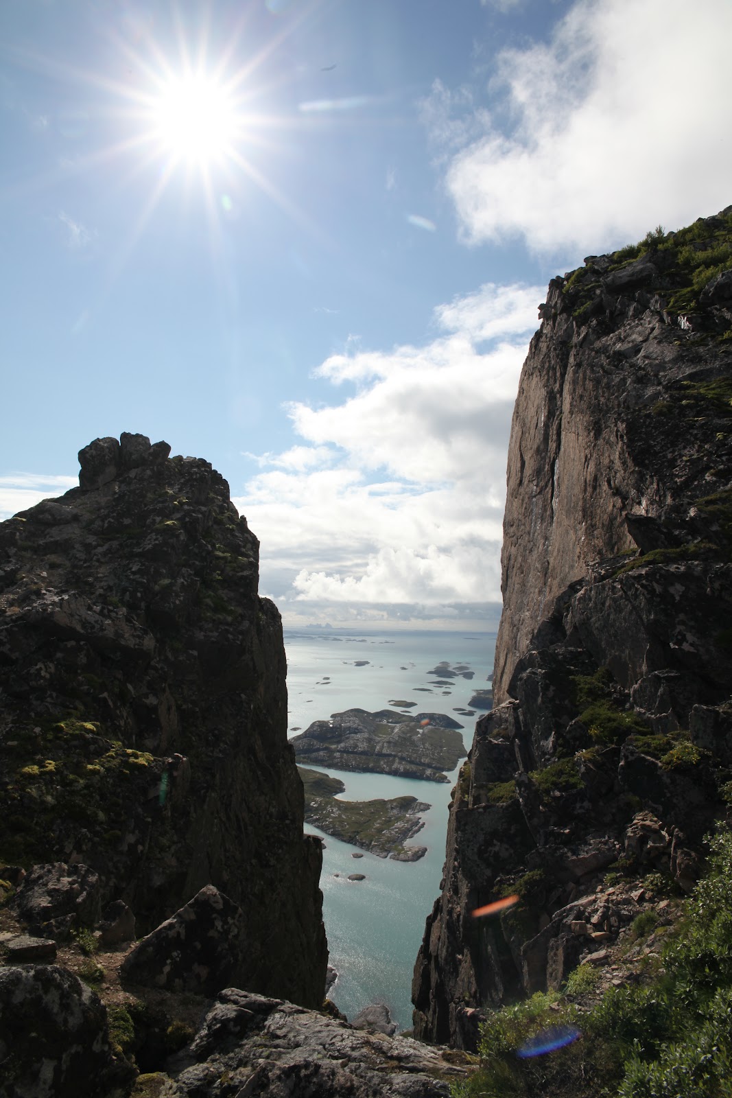 Svalbardliv: Rause Rødøy