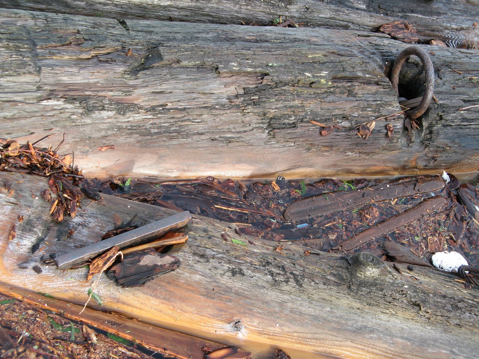 Powell River Books Blog: Boom Chains