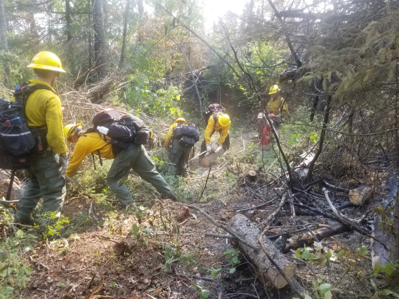 Pennsylvania Forest Fire Protection: Keystone Crew Update