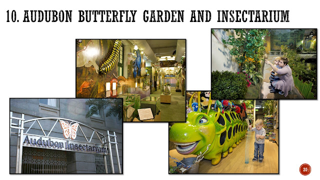 Insect Museums | Insectariums | Entomology