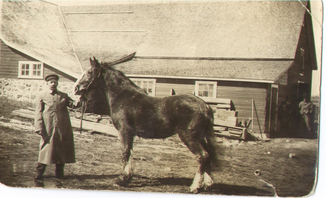Jamsa Ilkka ND Family History: JAMSA