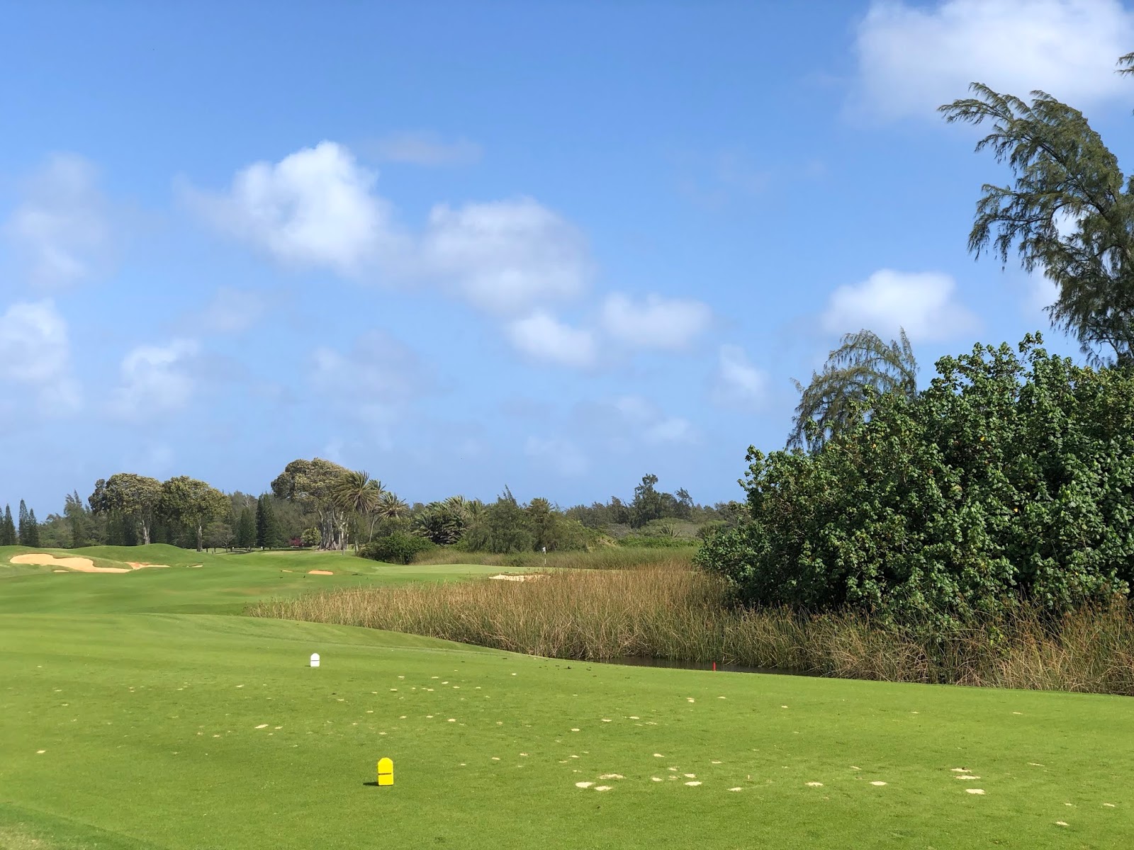 GREAT EATS HAWAII: TURTLE BAY - PALMER COURSE