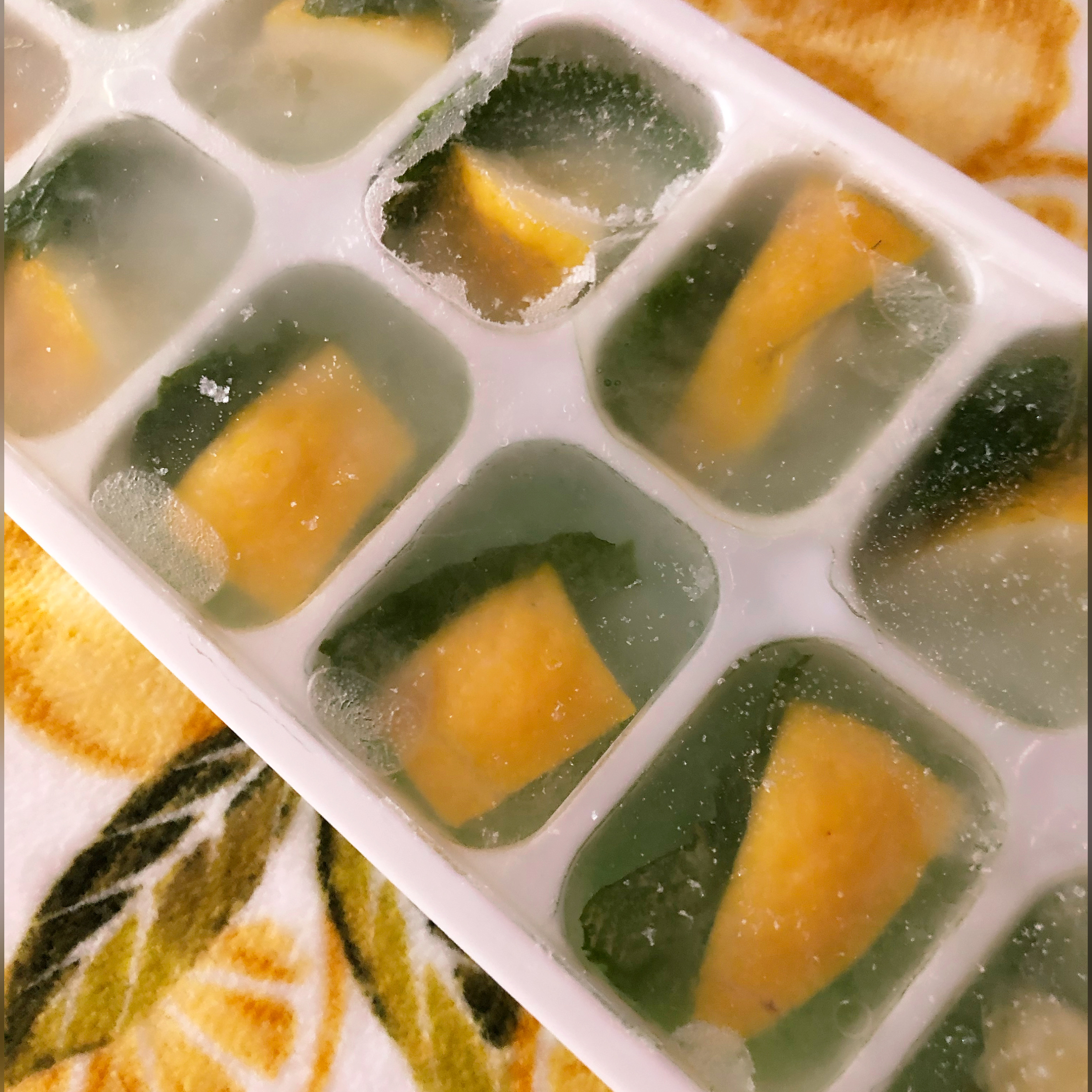 Lemon-Mint Ice Cubes for a Hot Day!