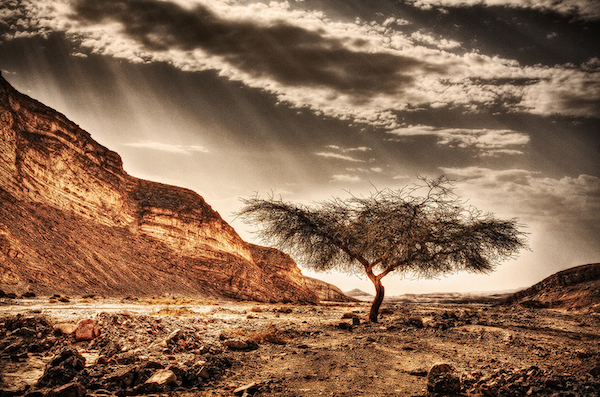 Solid Planet: Still Life and Landscape Photography By Joseph Gerges