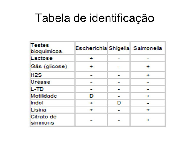 O que são as Enterobacterias ? - Análises Clínicas.com