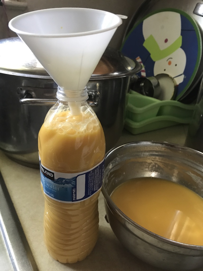 Viki 's Kitchen: Mango Lassi