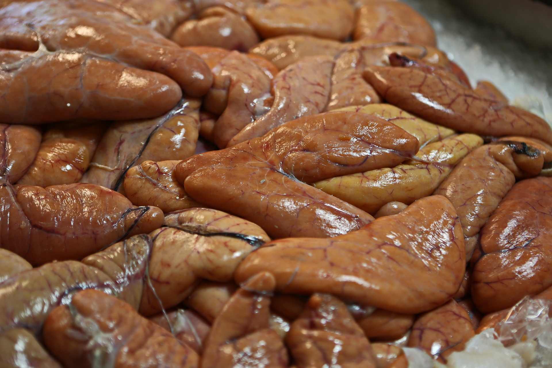 मछली के अंडे खाने से होने वाले फायदे | machli ke ande khane ke fayde