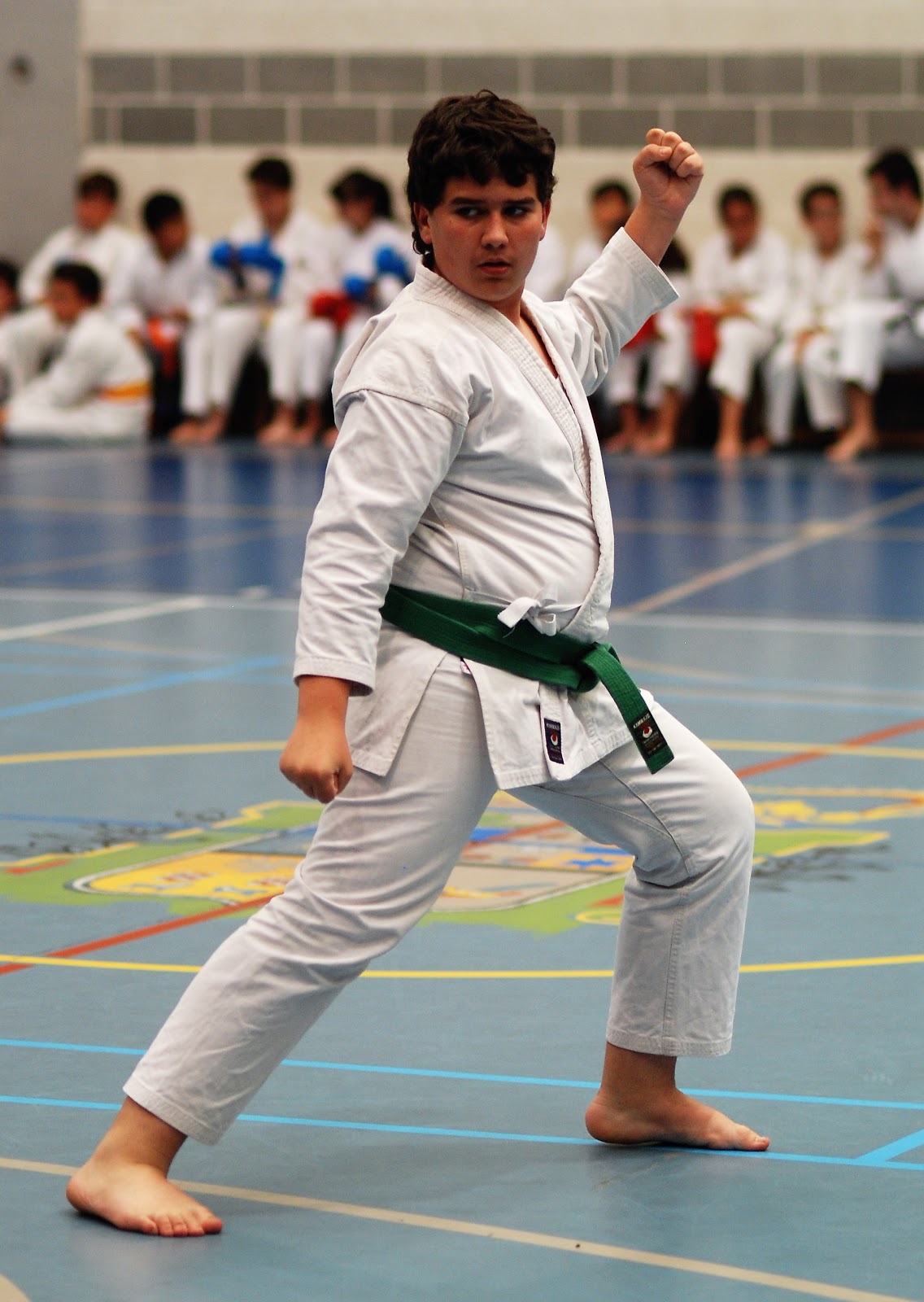 TO - DE: PREMIO "VALORES DEL KARATE"